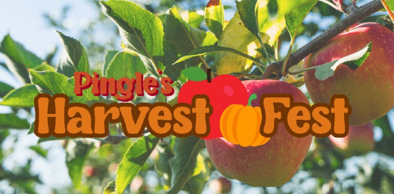 Pingle's Harvest Festival - Child's Life Kids Event Guide York Region ...