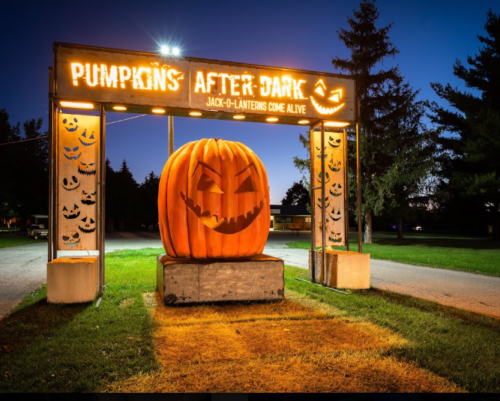 Pumpkins after Dark- Markham - Child's Life Kids Event Guide York ...